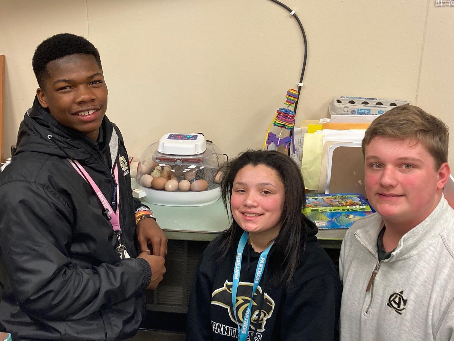 Ag class hatches learning