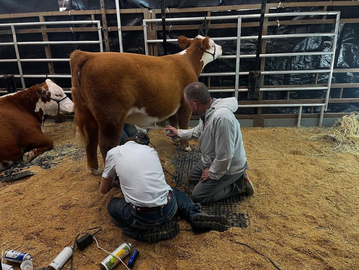 Ag class supports classmate at Livestock Show