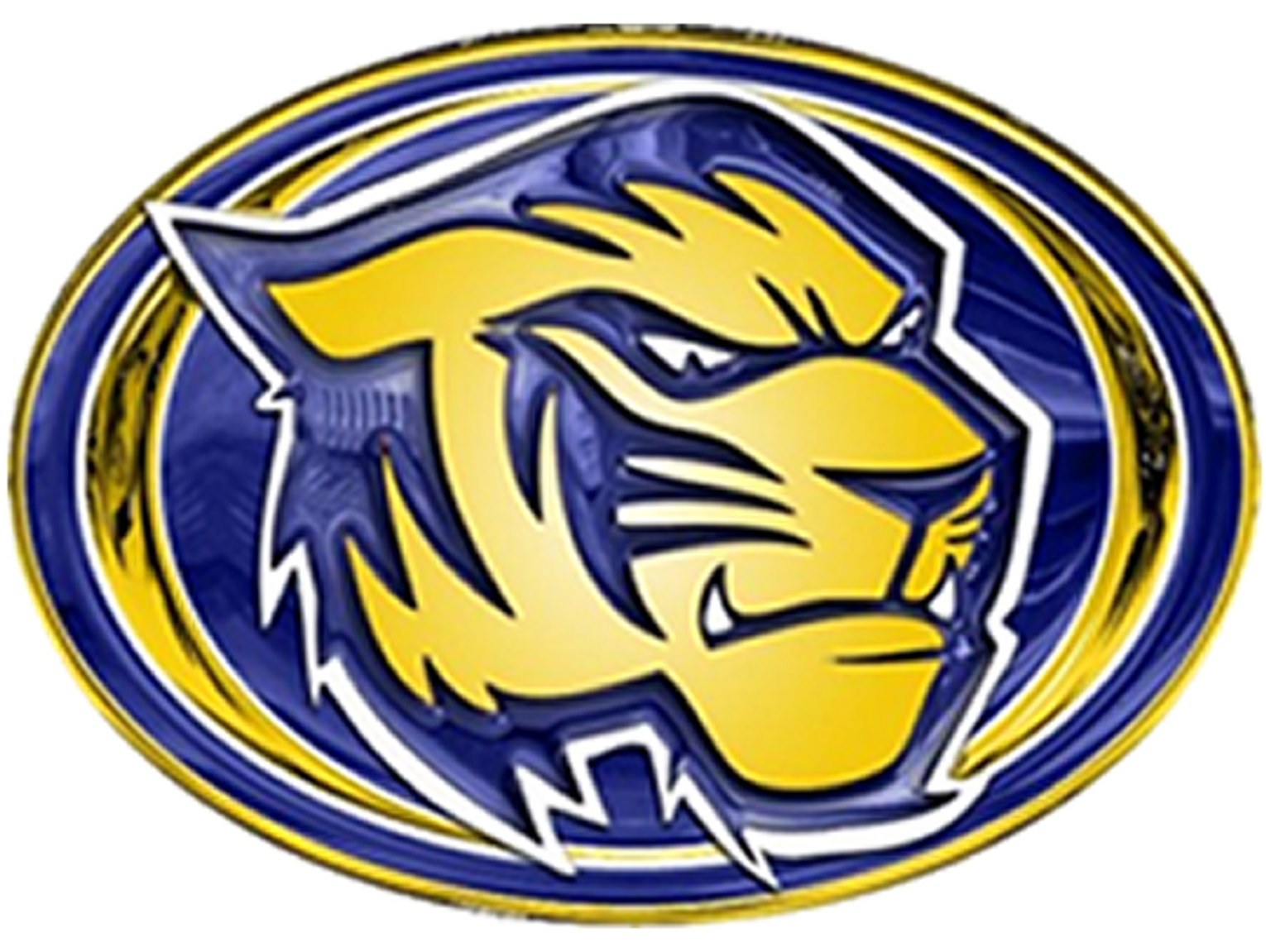 Recent Canton Tigers Game May Have Dampened Spirts